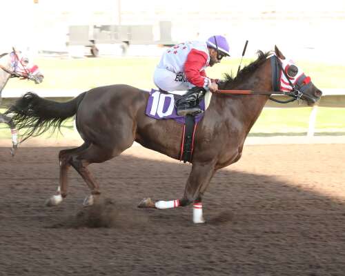 Trainer Giles completes sweep of rich Albuquerque stakes - The Tri-City ...