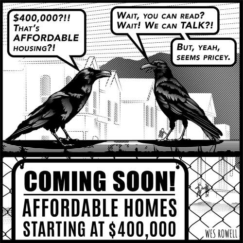 Wes Rowell cartoon - The Durango Herald