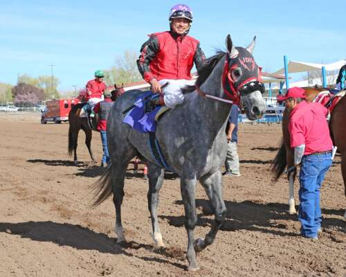 Upset scores headline Drake Stakes on Friday - The Journal