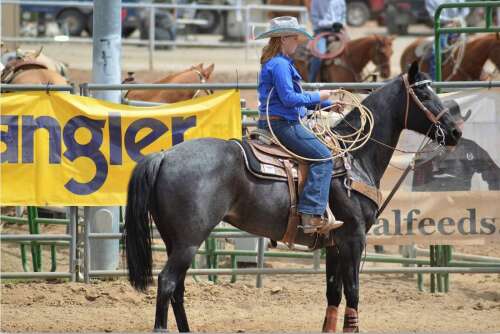 Regional reps score three top 20s at rodeo nationals - The Journal