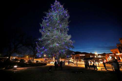 Durango lights community holiday tree to bring cheer - The Durango Herald