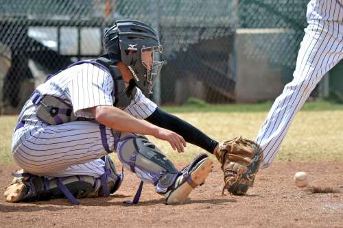 Wolverines traveling for baseball regional - The Durango Herald
