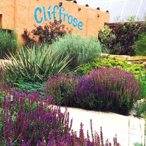 New spring market announced for Cortez - The Journal