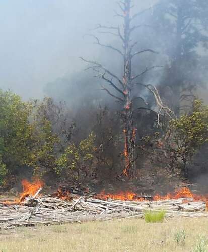 Electra Lake Fire expected to remain stable - The Durango Herald