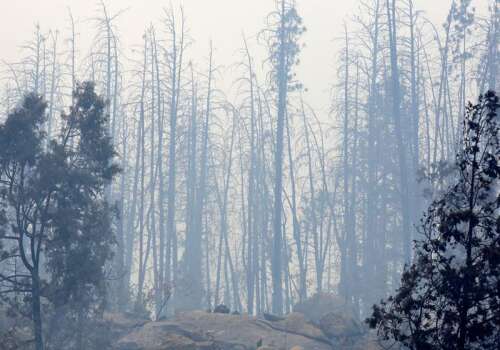 Fire crews reach 75% containment on Six Shooter Fire south of Durango ...