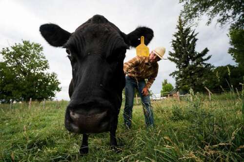 Future of farming to be discussed at Mancos library - The Journal