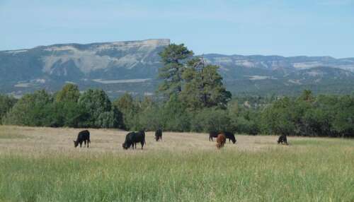 Mancos Visitor Center opens new photo exhibit - The Durango Herald