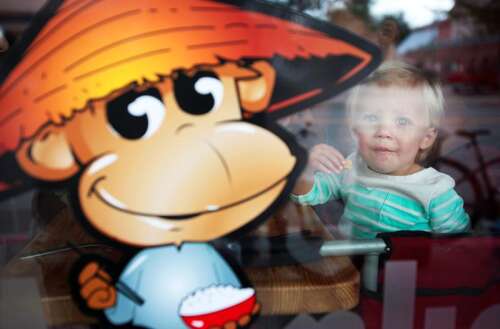 Monkey see, monkey do - The Durango Herald