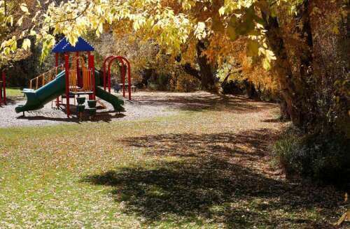 Turtle Lake Refuge to celebrate organic parks - The Durango Herald