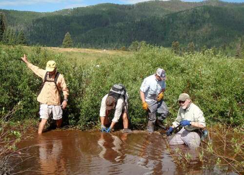 Forest Service awards locals for environmental work – The Durango Herald