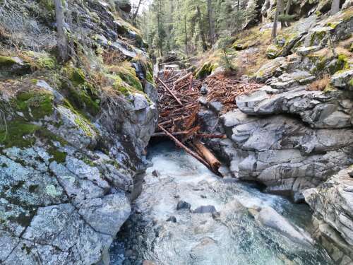 35-foot-tall log jam is blocking Vallecito Creek; removal is critical ...