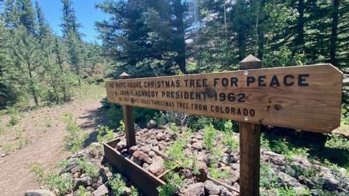 The history behind the Colorado Christmas tree lit by JFK, and how it ...