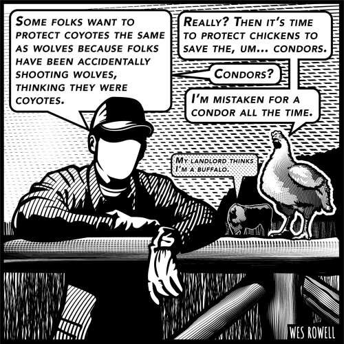 Wes Rowell cartoon - The Journal