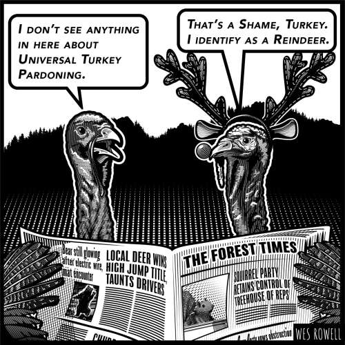 Wes Rowell cartoon - The Durango Herald