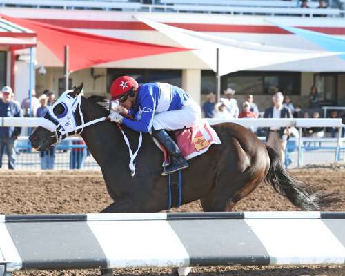 Racing season kicks off Friday at SunRay Park and Casino - The Tri-City ...