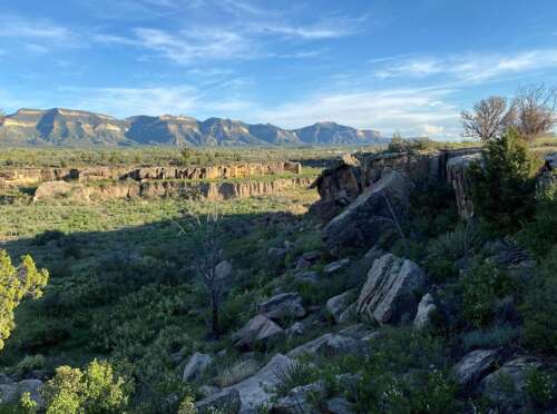 Hawkins Preserve’s 2024 report gives glimpse into beauty the protected ...