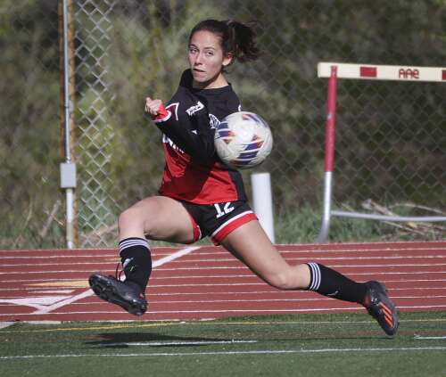 Demon soccer shuts out Central - The Durango Herald