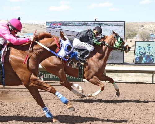 Just En King breaks track record winning Jimmy Drake Stakes - The Tri ...