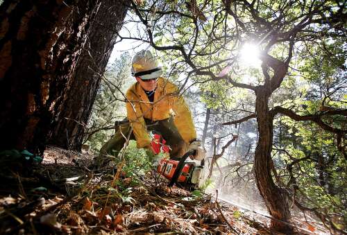 Free workshops to review wildfire mitigation, defensible space and home ...