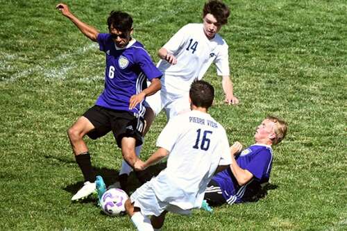 Panthers too potent for Wolverines - The Durango Herald