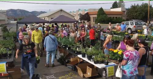 Mesa Verde Gardeners to hold 16th annual plant sale at new location ...