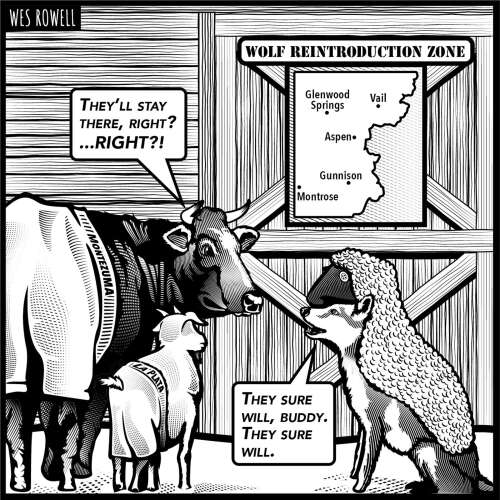 Wes Rowell cartoon - The Durango Herald