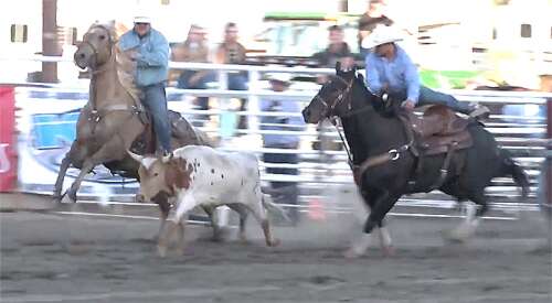 Ute Mountain Roundup rodeo has a fierce return to action - The Journal