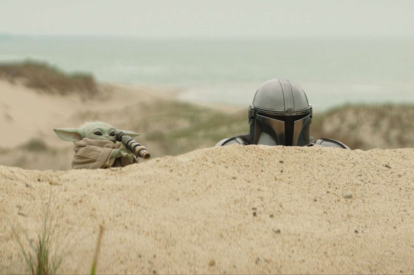 Box Office: ‘Mandalorian and Grogu’ tops charts - The Tri-City Record