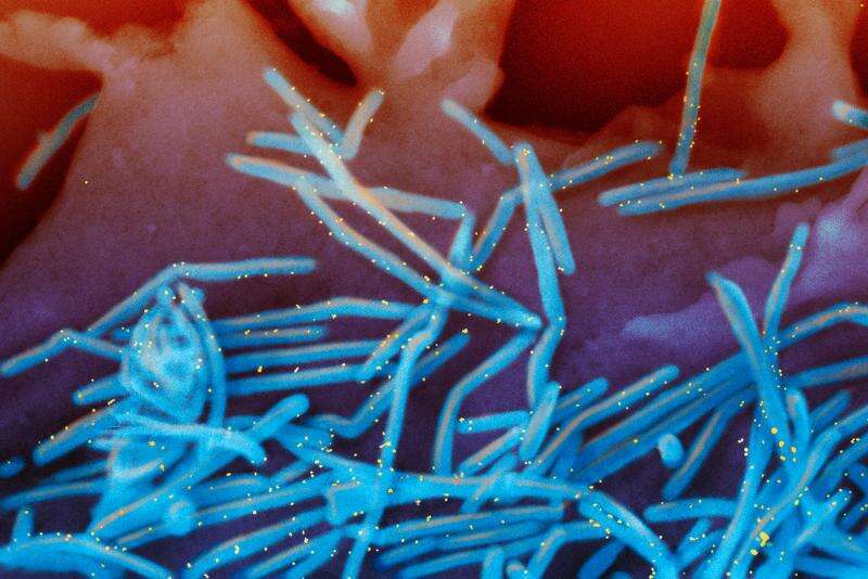 Winter virus season so far is not too bad, but doctors worry about ...