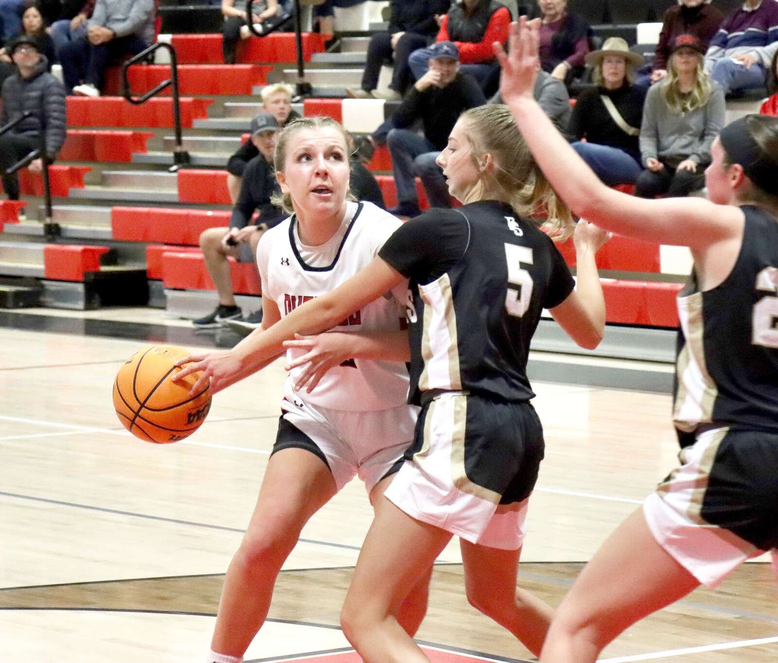 PHOTOS: Durango basketball teams host Pagosa Springs - The Durango Herald