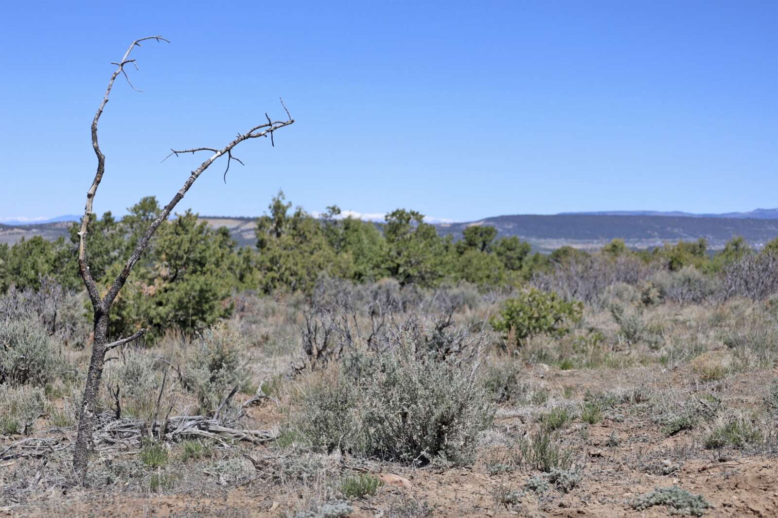 Continental Divide Trail Coalition raises alarm about N.M. uranium mine ...